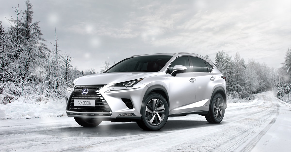 2017 Lexus Winter Service Campaign | Lexus Korea