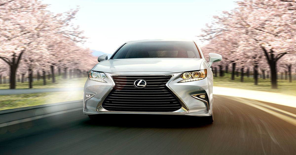 렉서스 봄맞이 전국 시승회 | Lexus Korea