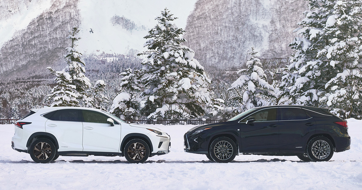 2019 DRIVING DELIGHT WINTER SERVICE CAMPAIGN | Lexus Korea